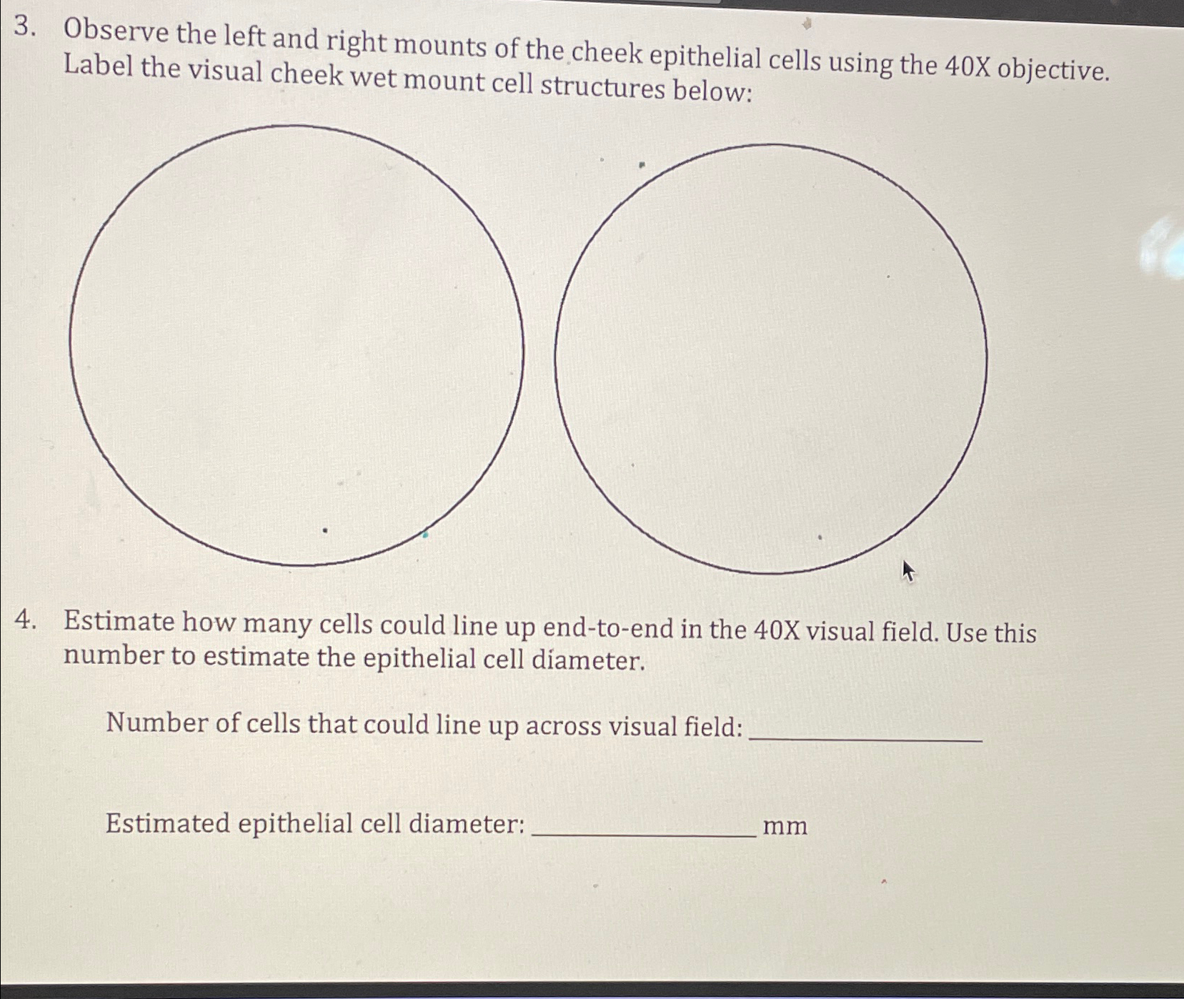 Solved Observe the left and right mounts of the cheek | Chegg.com