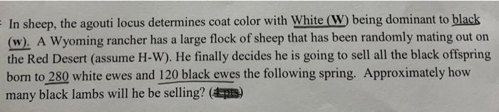 Solved In sheep, the agouti locus determines coat color with | Chegg.com