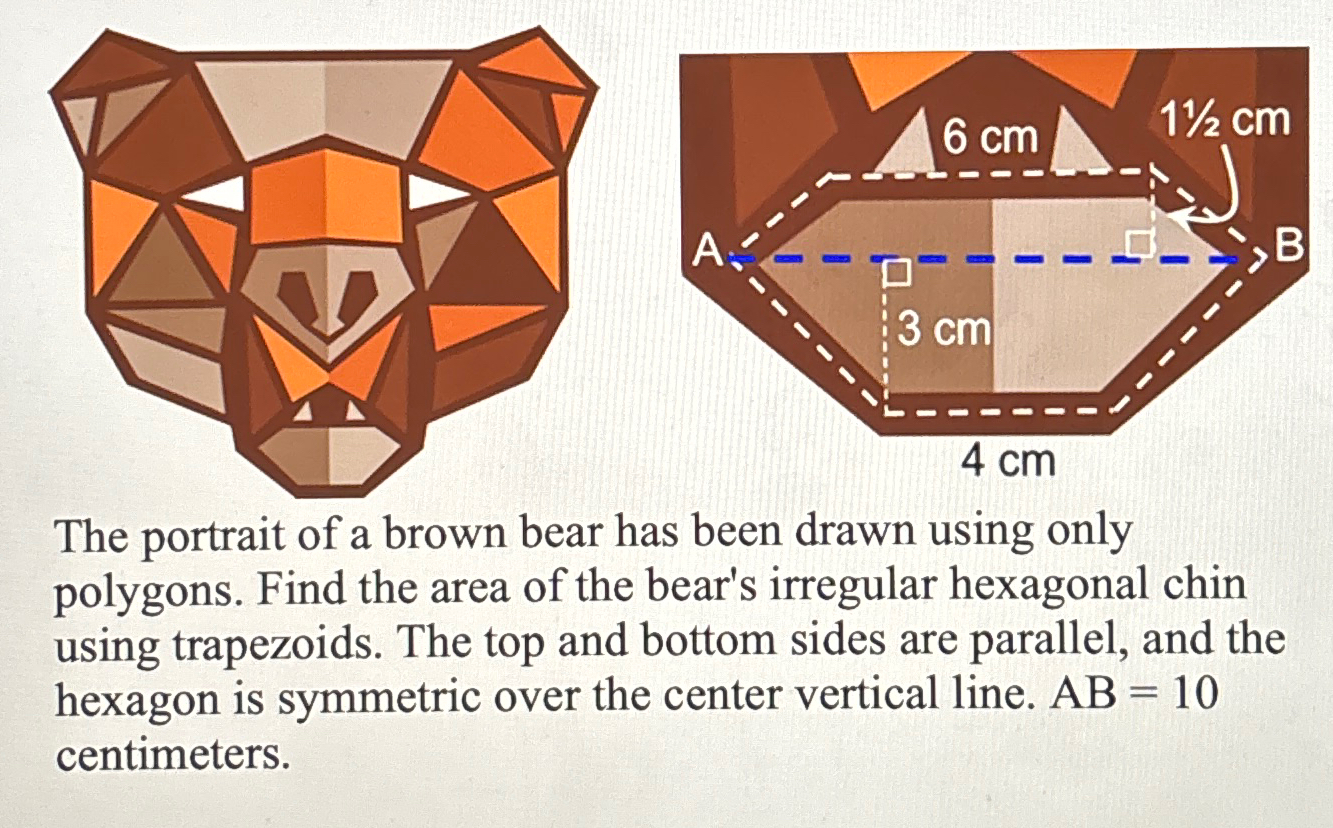 Solved The portrait of a brown bear has been drawn using | Chegg.com