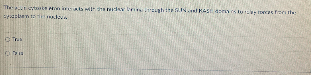Solved The actin cytoskeleton interacts with the nuclear | Chegg.com
