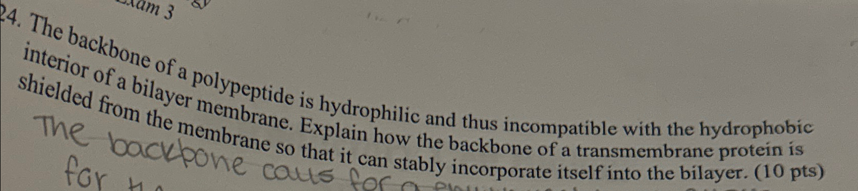 Solved The backbone of a polypeptide is hydrophilic and thus | Chegg.com