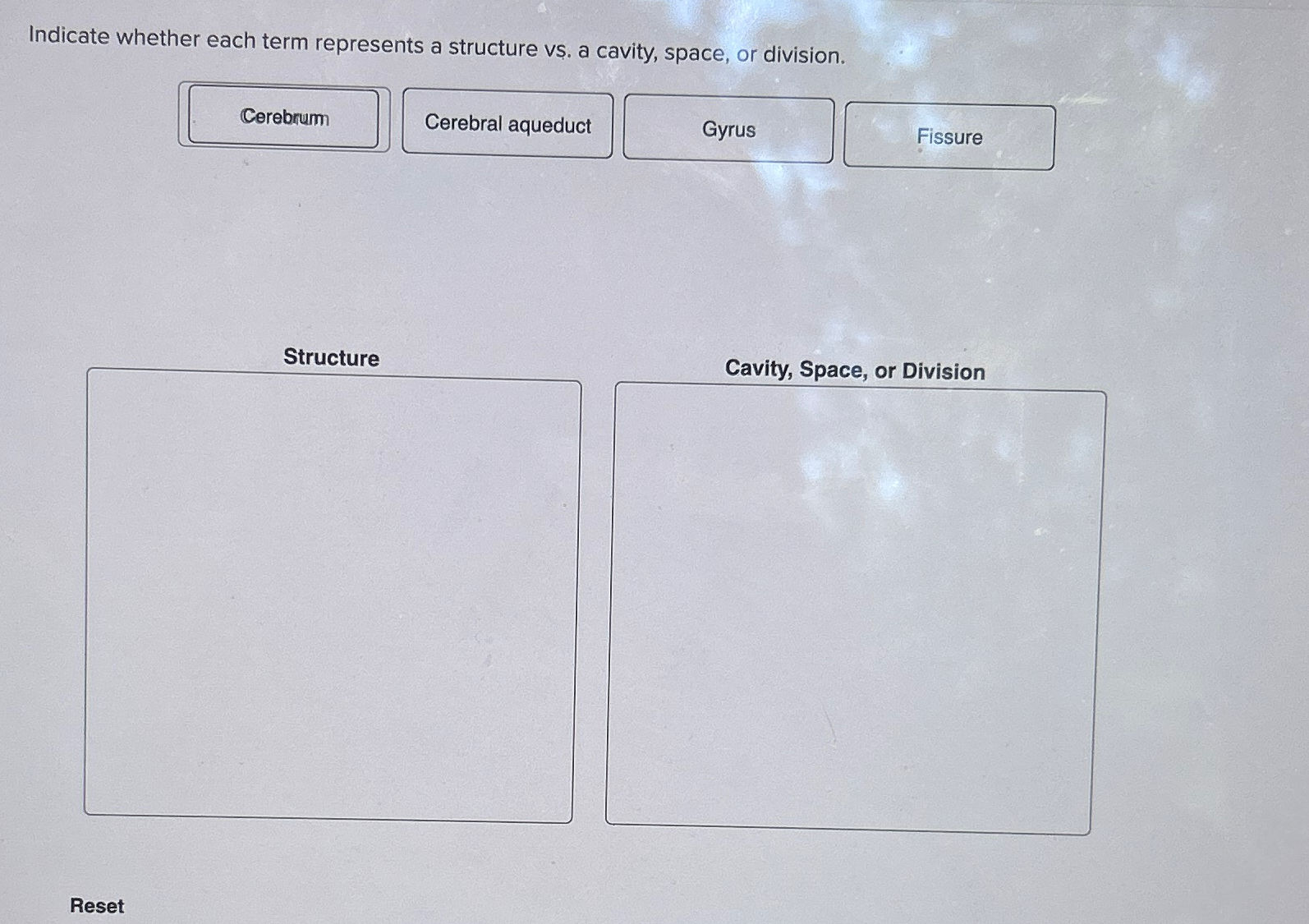 Solved Indicate whether each term represents a structure vs. | Chegg.com Solved Indicate whether each term represents a structure vs. | Chegg.com