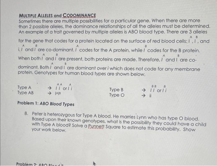 Solved AB MULTIPLE ALLELES and CODOMINANCE Sometimes there | Chegg.com