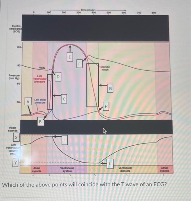 Solved Which of the above points will coincide with the T | Chegg.com