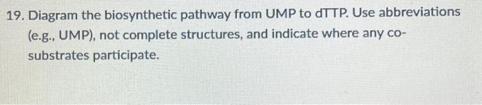 Solved 19. Diagram the biosynthetic pathway from UMP to | Chegg.com