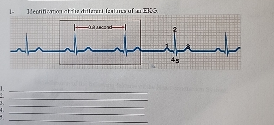 Solved Identification of the different features of an | Chegg.com