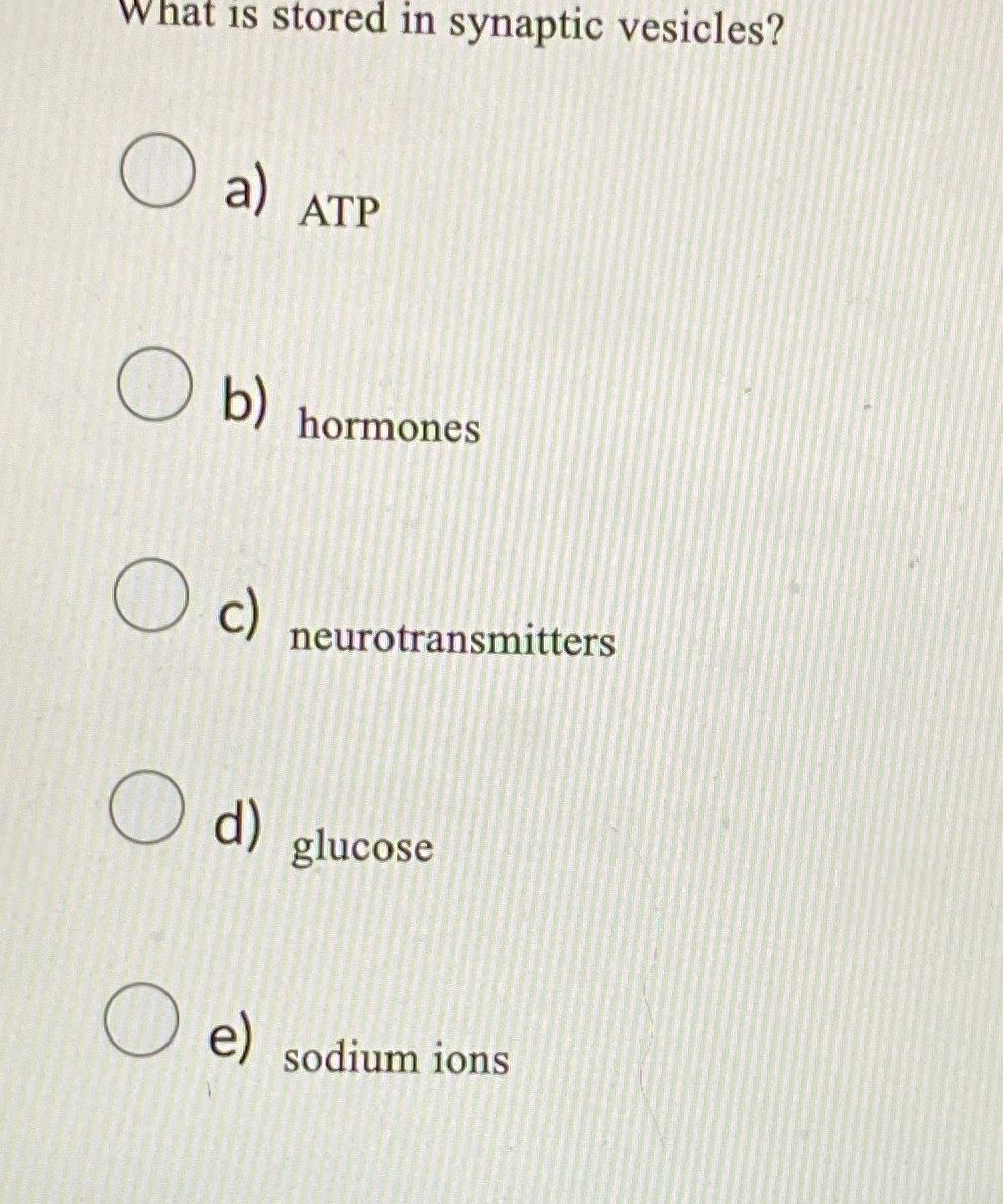 Solved What is stored in synaptic vesicles?a) ﻿ATPb) | Chegg.com