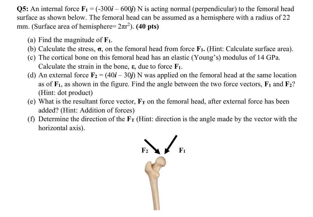 Solved Q5: An ﻿internal force | Chegg.com