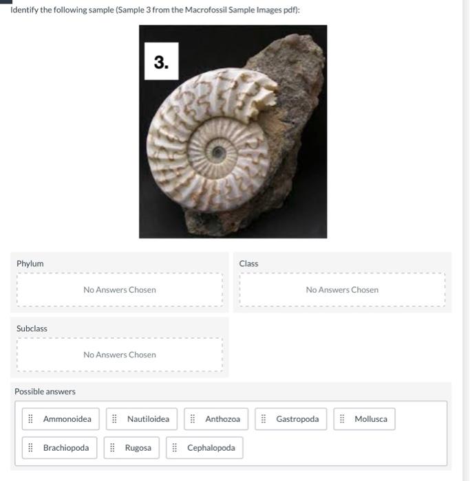 Solved Identify the following sample (Sample 3 from the | Chegg.com