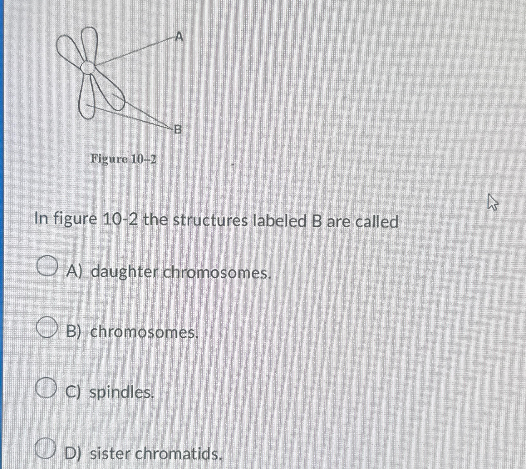 Solved In figure 10-2 ﻿the structures labeled B are calledA) | Chegg.com