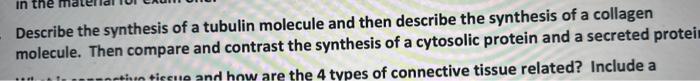 Solved Describe the synthesis of a tubulin molecule and then | Chegg.com