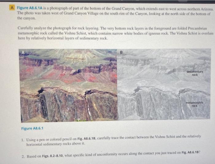 Solved Figure A8.6.1A is a photograph of part of the bottom | Chegg.com