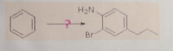 Solved H2N Br | Chegg.com
