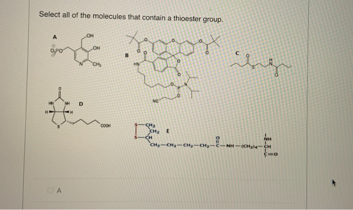 Solved Select all of the molecules that contain a thioester | Chegg.com