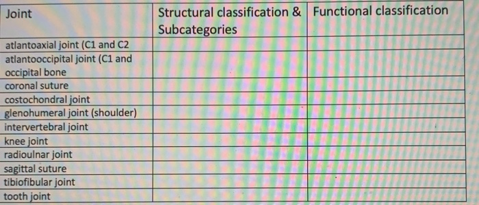 Solved Joint Structural classification & Functional | Chegg.com