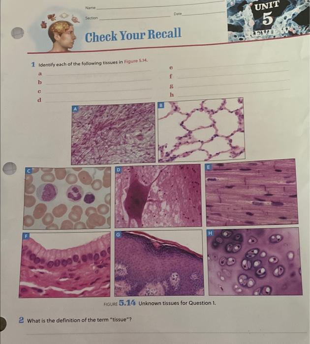 Solved Check Your Recall 1 Identify each of the following | Chegg.com