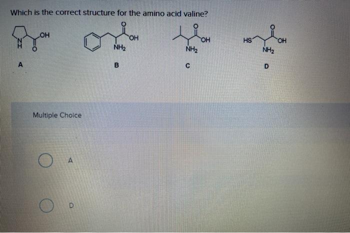 Solved Which is the correct structure for the amino acid | Chegg.com