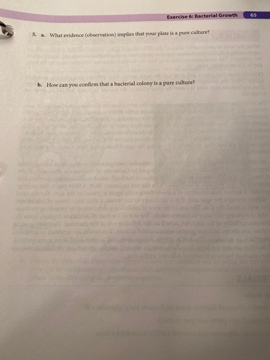 Solved Questions 1. Why is it preferable to mark the bottom | Chegg.com