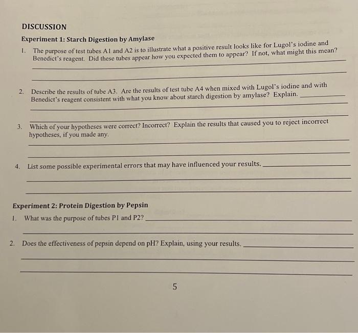 Solved DISCUSSION Experiment 1: Starch Digestion by Amylase | Chegg.com