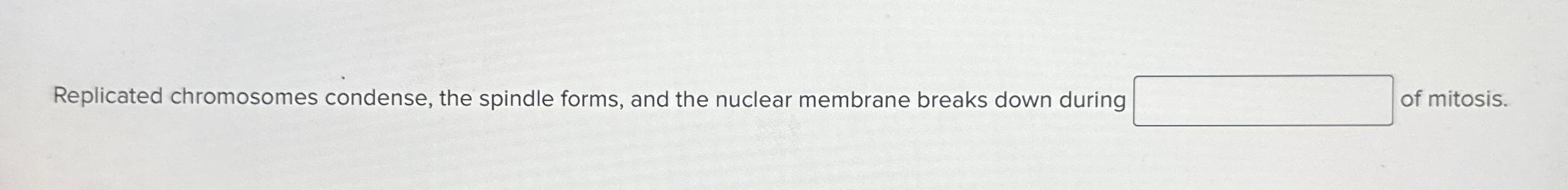 Solved Replicated chromosomes condense, the spindle forms, | Chegg.com