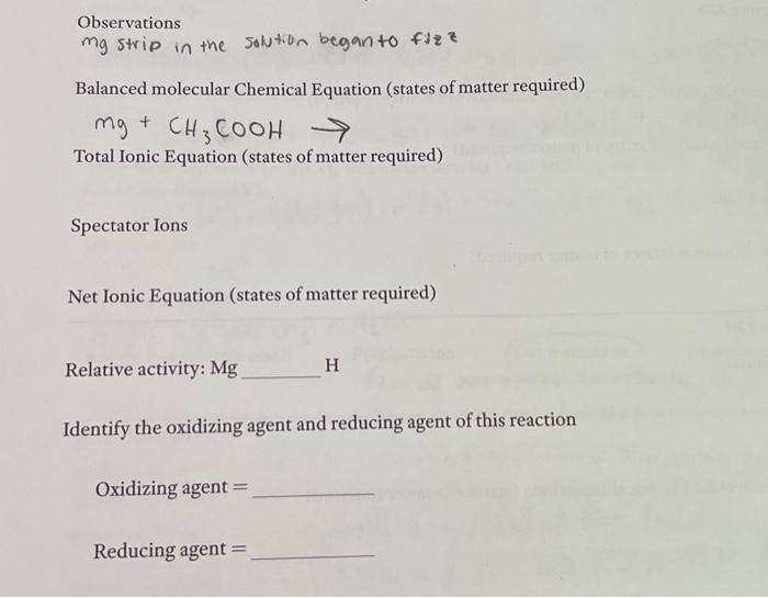 Solved Observations mg strip in the solution began to fizz | Chegg.com