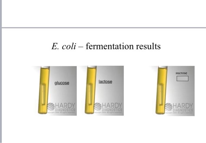 Fermentation - Data MRVP - DataE. coli-fermentation | Chegg.com