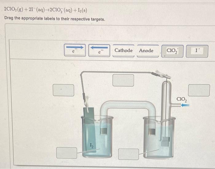 Solved Label the anode and cathode, indicate the direction | Chegg.com