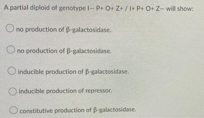 Solved A partial diploid of genotype l– P+ O+ Z+ / I+P+ O+ | Chegg.com