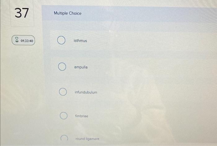Solved Which structure is highlighted? Multiple Choice | Chegg.com