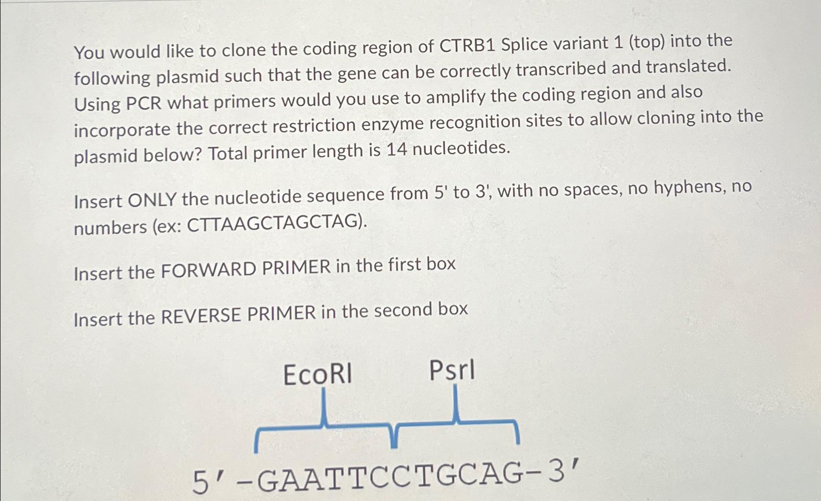 Solved You would like to clone the coding region of CTRB1 | Chegg.com