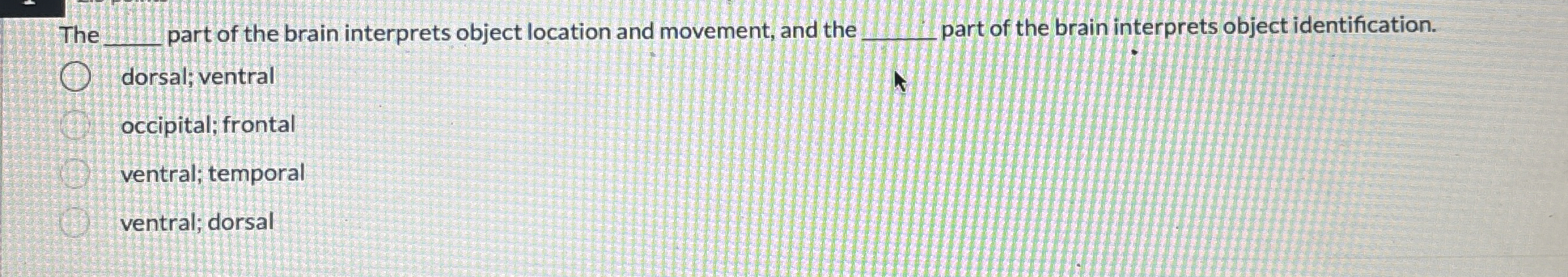 Solved The part of the brain interprets object location and | Chegg.com