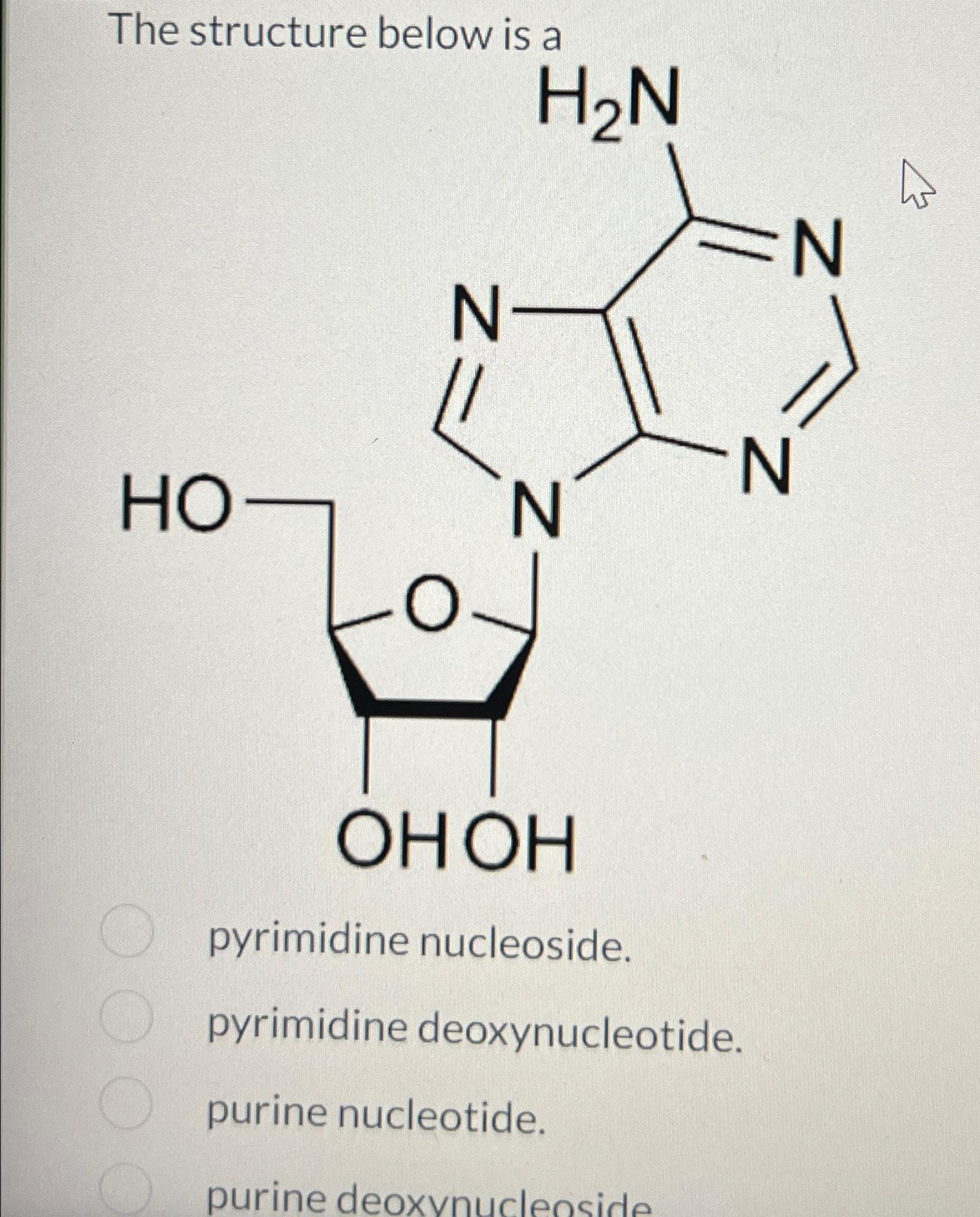 Solved The structure below is apyrimidine | Chegg.com