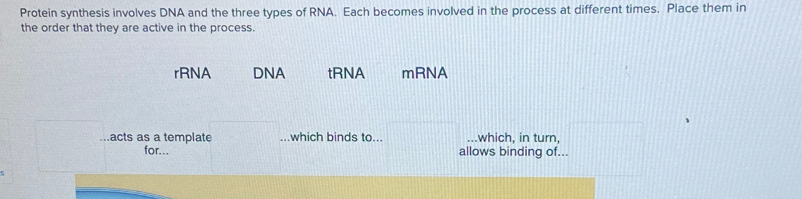 Solved Protein synthesis involves DNA and the three types of | Chegg.com