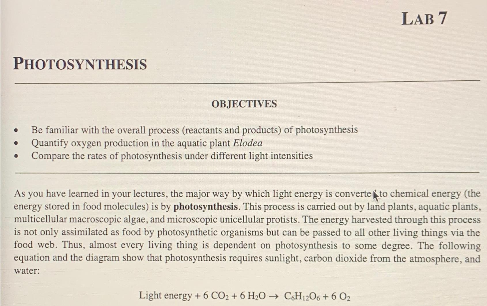 Solved LAB 7PHOTOSYNTHESISOBJECTIVESBe familiar with the | Chegg.com