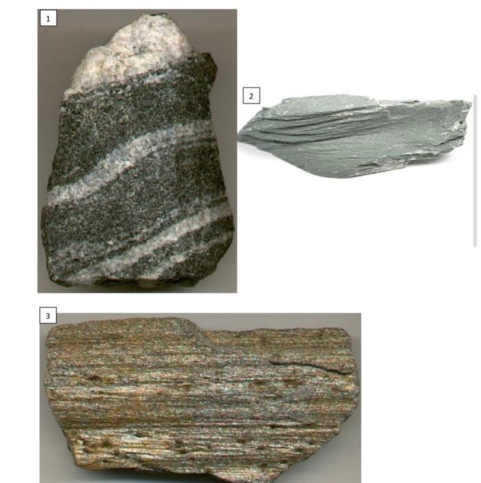 Solved Grain Size Meta- morphic Setting Metamorphic Rock | Chegg.com
