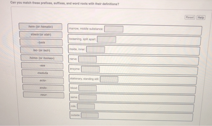 Solved Can you match these prefixes, suffixes, and word | Chegg.com