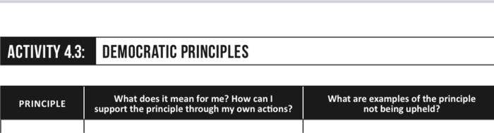 ACTIVITY 4.3: DEMOCRATIC PRINCIPLES PRINCIPLE What | Chegg.com