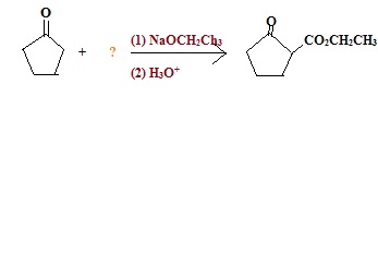Solved a. ethyl formate, HCO2CH2CH3 b. diethyl carbonate, | Chegg.com