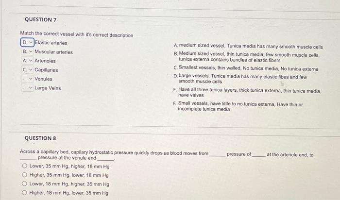 Solved Match the correct vessel with it's correct | Chegg.com