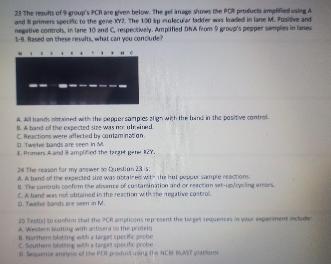 Solved 23 The results of 9 group's PCR are given below. The | Chegg.com