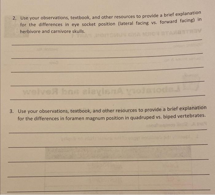 Solved 2. Use your observations, textbook, and other | Chegg.com