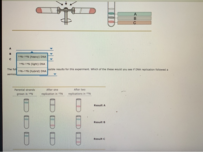 Solved 1. A variation on the Meselson and Stahl experiment | Chegg.com