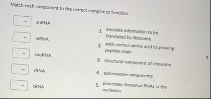 Solved Match each component to the correct complex or | Chegg.com