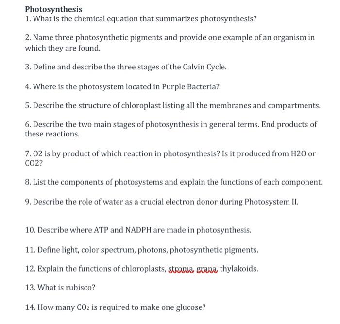 Solved Photosynthesis 1. What is the chemical equation that | Chegg.com
