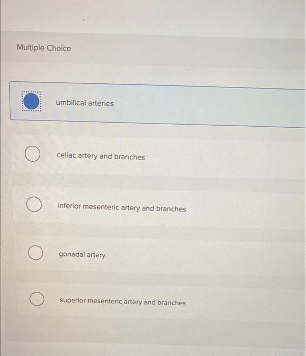 Solved Which structure is highlighted? 17 Multiple Choice | Chegg.com