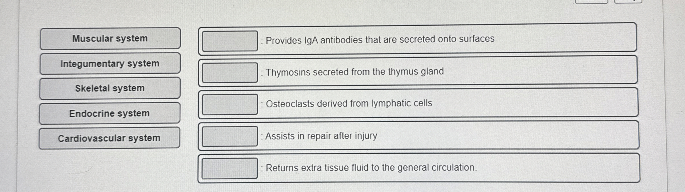 Solved Muscular systemIntegumentary systemSkeletal | Chegg.com