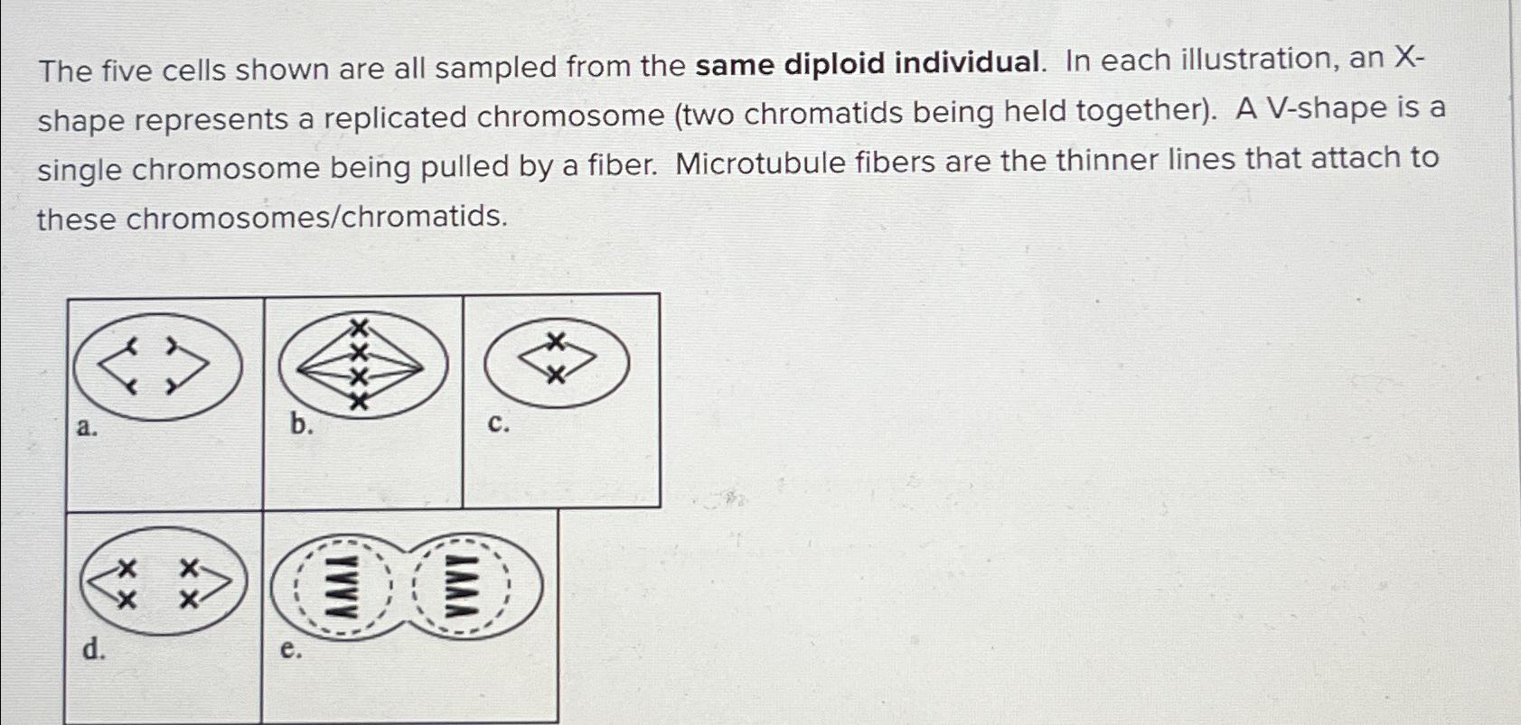 Solved The five cells shown are all sampled from the same | Chegg.com