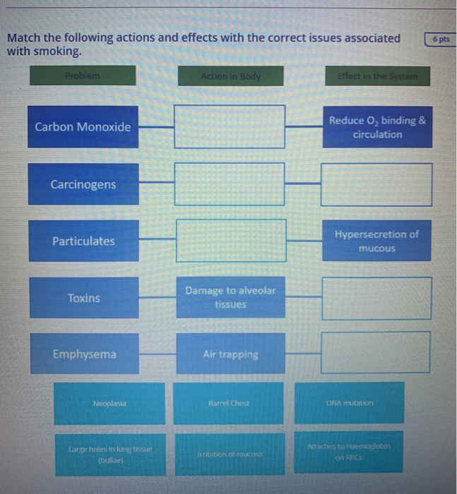 Solved 6 pts Match the following actions and effects with | Chegg.com