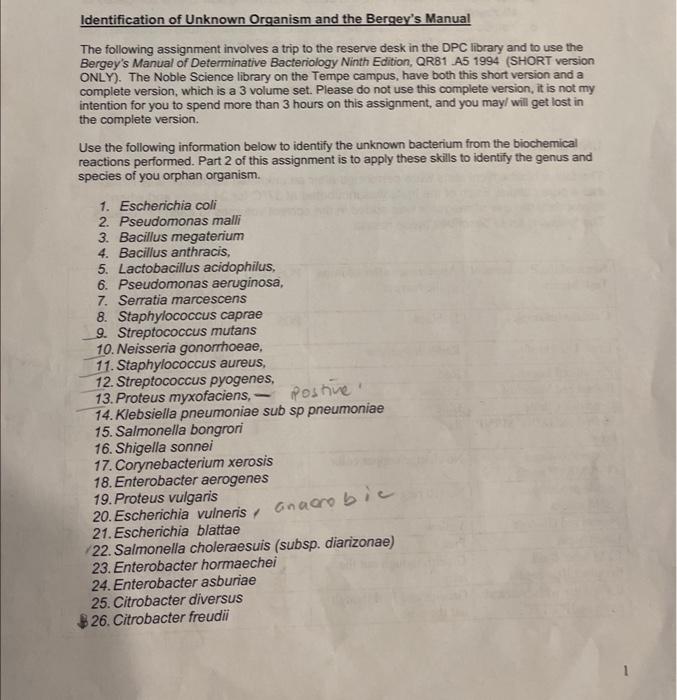 Identification of Unknown Organism and the Bergey's | Chegg.com