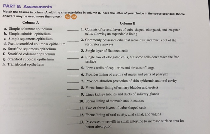 Solved PART B: Assessments Match the tissues in column A | Chegg.com